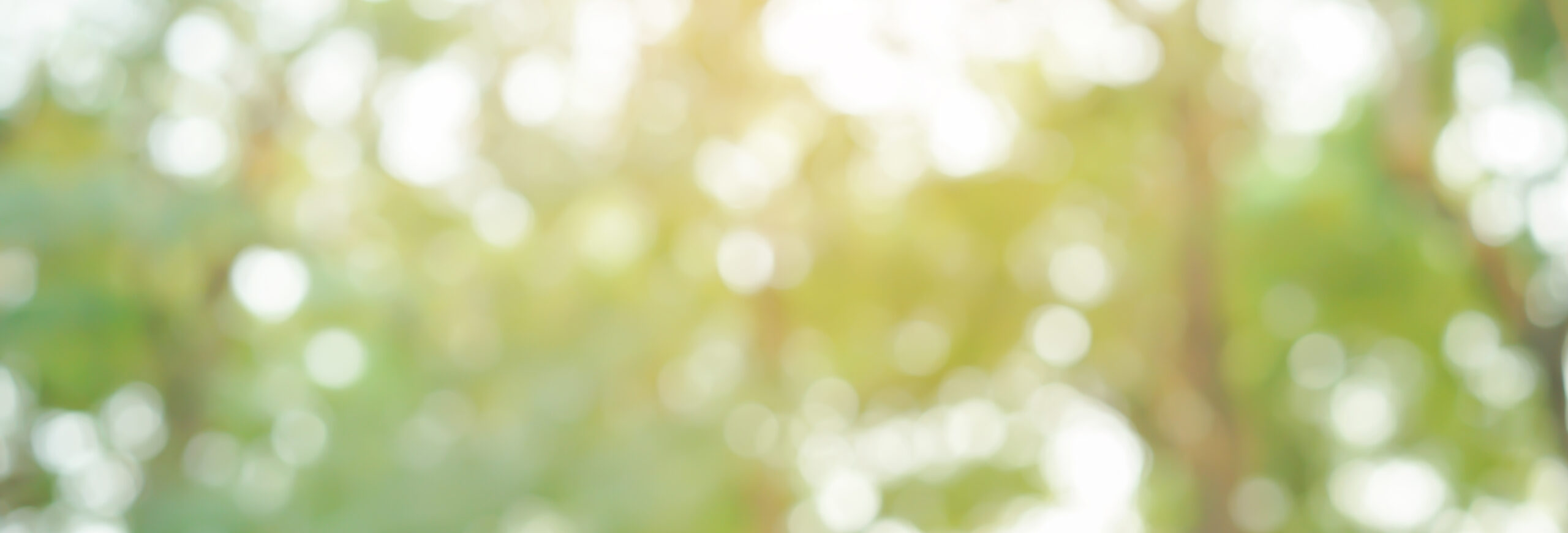 Air, Land & Water Engineering Services in Maryland, Washington DC ...